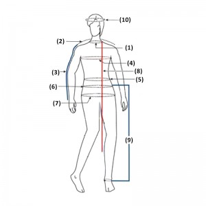 Measure Guide | Traditional Designer
